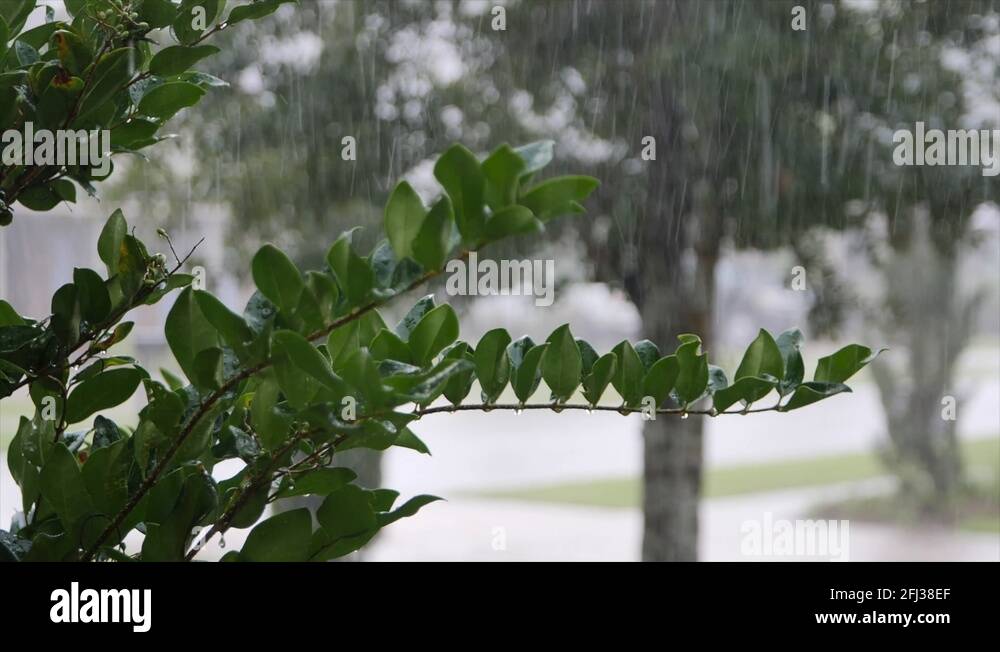 Rain raining precipitation Stock Videos & Footage - HD and 4K Video ...