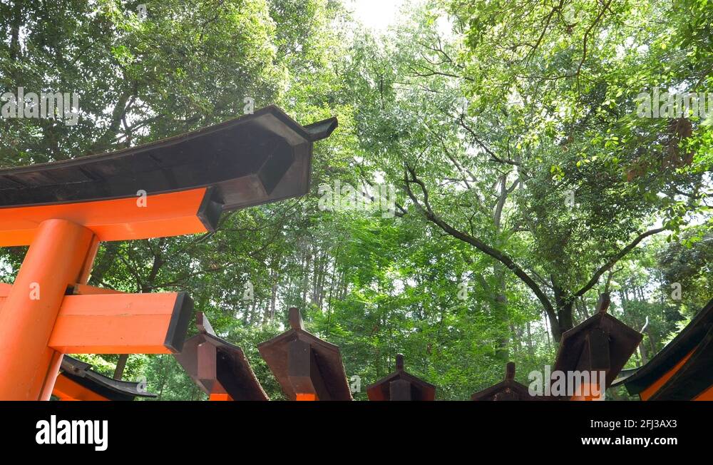 Side view of temple Stock Videos & Footage - HD and 4K Video Clips - Alamy