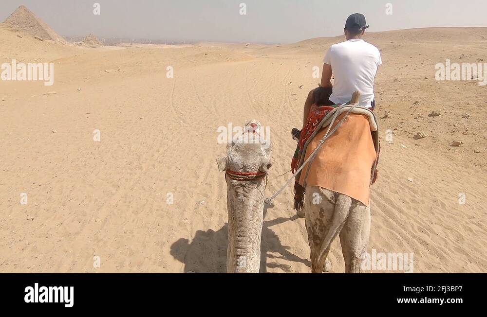Riding camel at pyramids of giza cairo Stock Videos & Footage - HD and ...