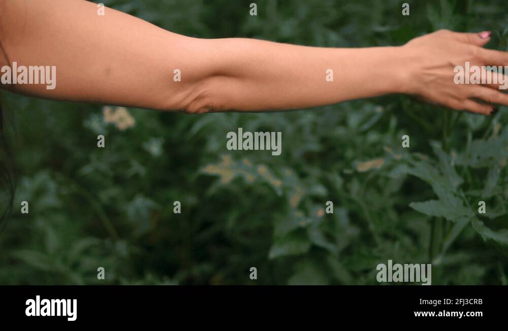 Women without hair Stock Videos & Footage - HD and 4K Video Clips - Alamy