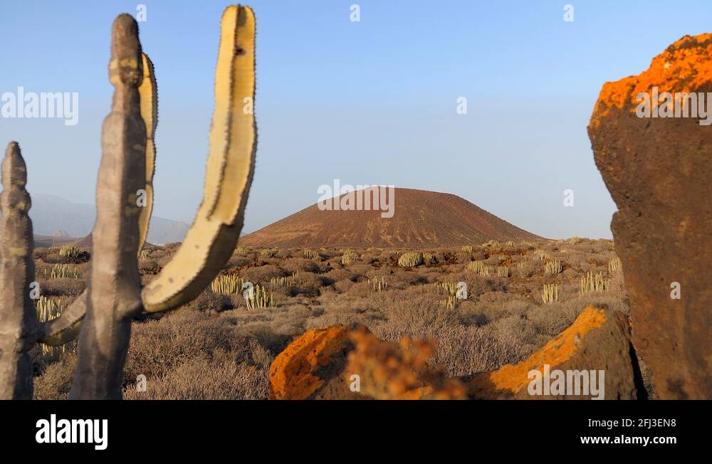 Desert zones Stock Videos & Footage - HD and 4K Video Clips - Alamy