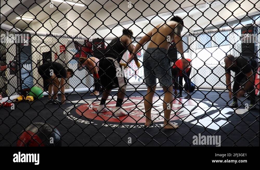 Mma photography Stock Videos & Footage - HD and 4K Video Clips - Alamy