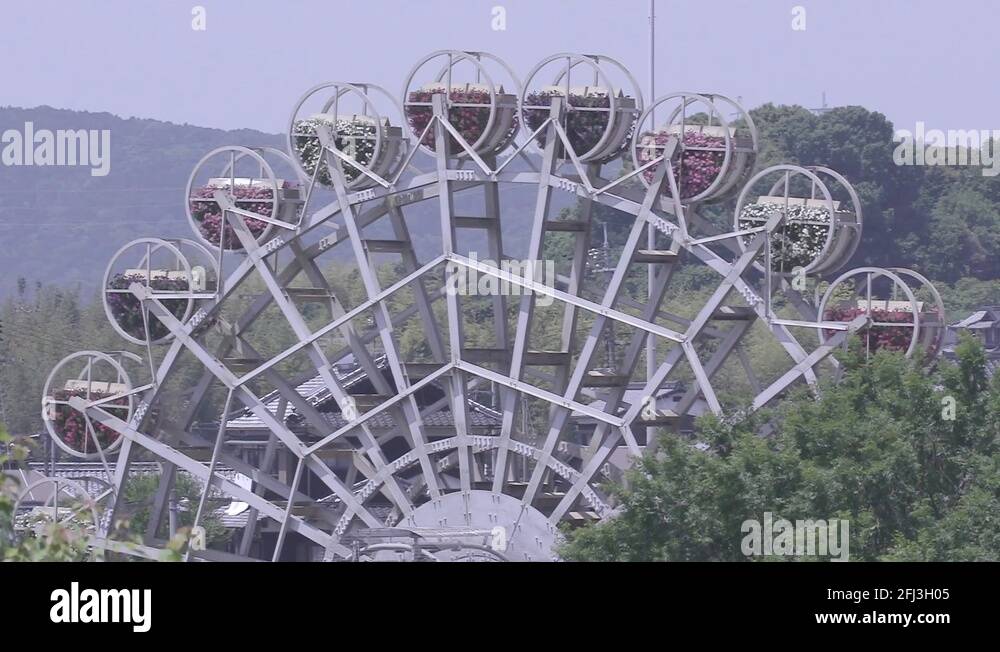 Kashinoki Stock Videos & Footage - HD and 4K Video Clips - Alamy