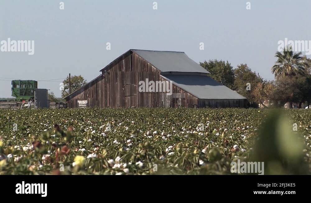 Usa barn field Stock Videos & Footage - HD and 4K Video Clips - Alamy