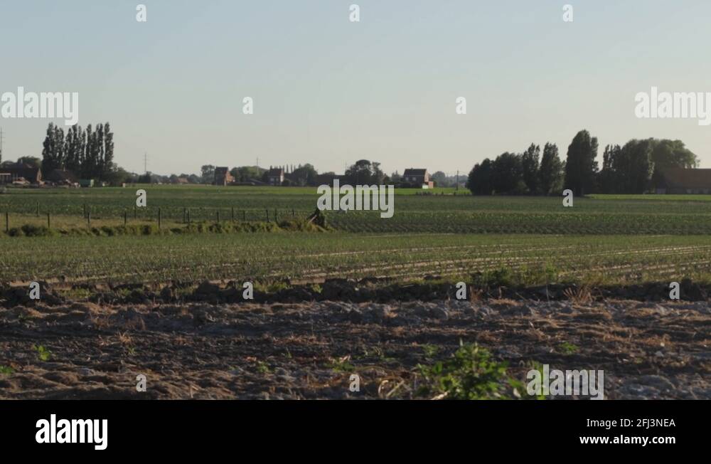 Belgian field Stock Videos & Footage - HD and 4K Video Clips - Alamy