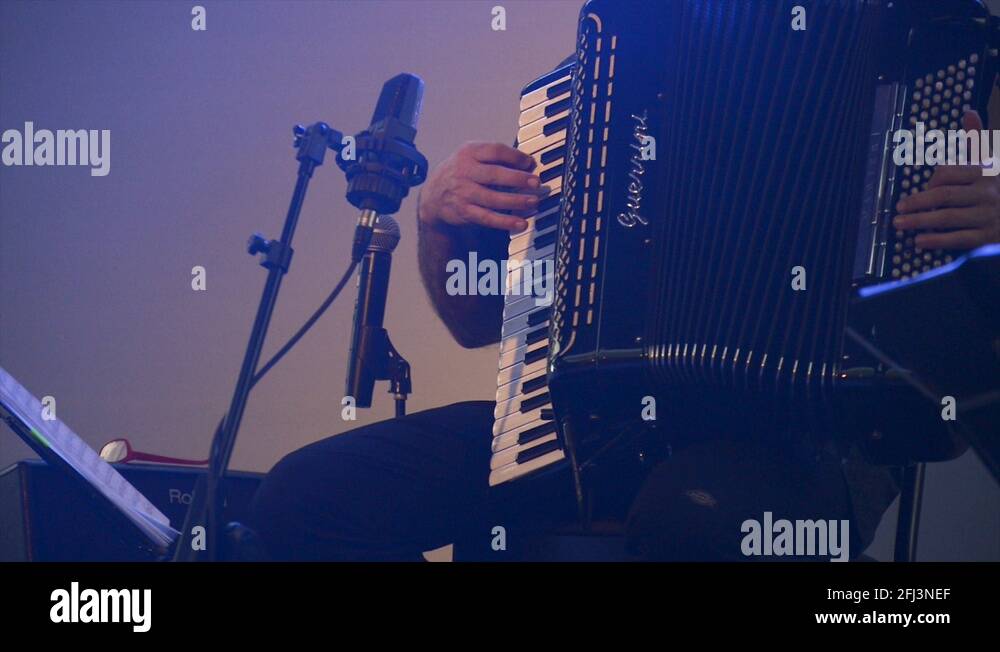 Accordionist at a concert, theater scene, accordion, flat plane Stock ...
