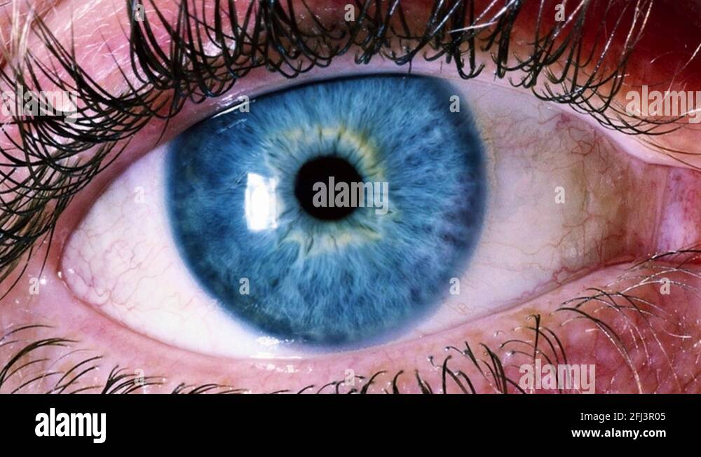 Ocean eye Stock Videos & Footage - HD and 4K Video Clips - Alamy