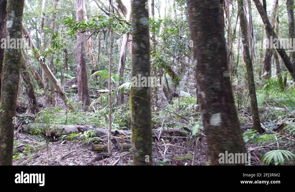 Smooth track Stock Videos & Footage - HD and 4K Video Clips - Alamy