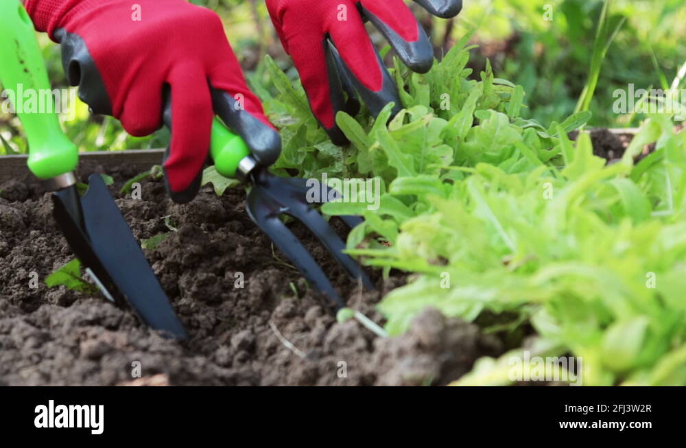 Hands holding work tools Stock Videos & Footage - HD and 4K Video Clips ...