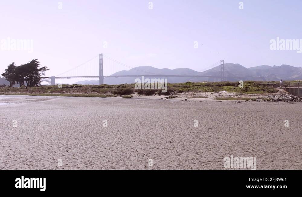 People looking over bridge Stock Videos & Footage - HD and 4K Video ...