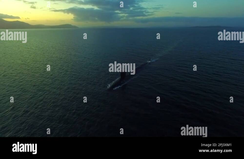 Virginia class submarine uss missouri Stock Videos & Footage - HD and ...