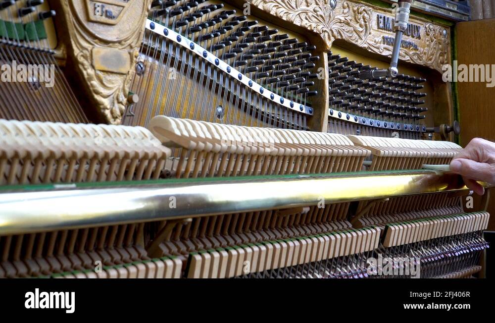 Lovely old instrument Stock Videos & Footage - HD and 4K Video Clips ...