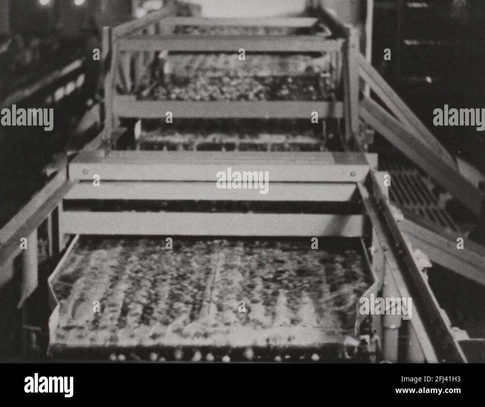 Process of stemming, sorting and inspection - 1935 Stock Video Footage ...