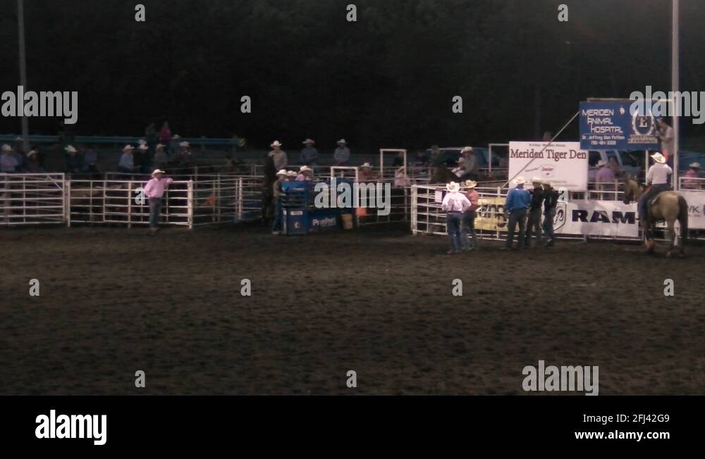 Cowboy steer wrestling bulldogging is rodeo event Stock Videos ...