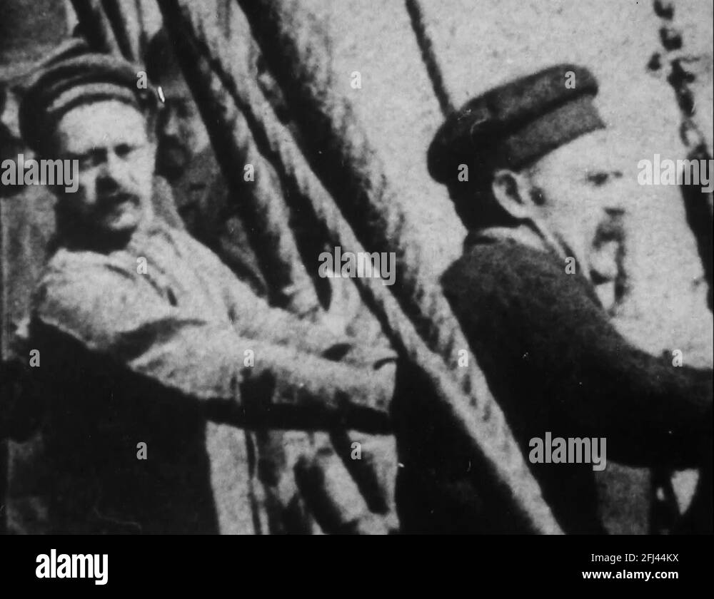 Past life animal Stock Videos & Footage - HD and 4K Video Clips - Alamy