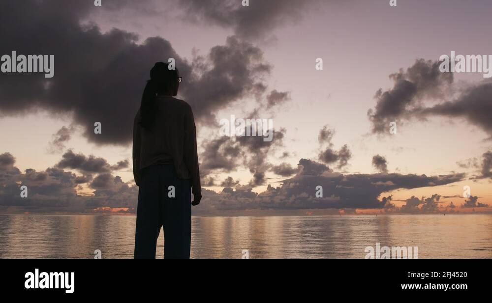 Raising hand silhouette Stock Videos & Footage - HD and 4K Video Clips ...