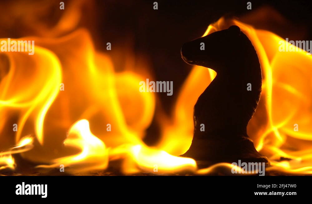 Chess knight Stock Videos & Footage - HD and 4K Video Clips - Alamy