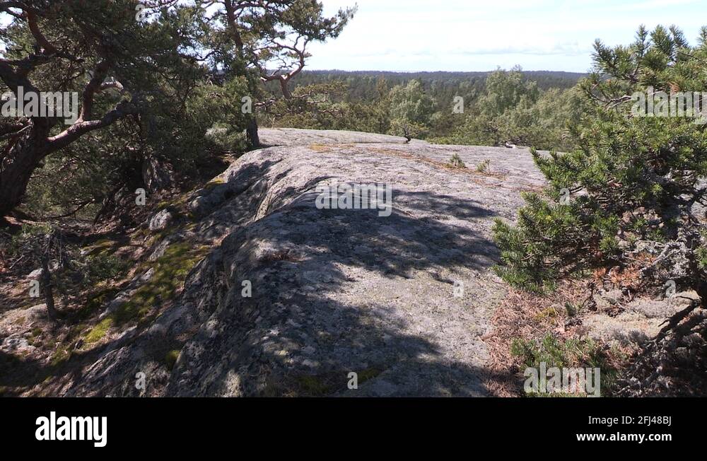 Granite trees Stock Videos & Footage - HD and 4K Video Clips - Alamy