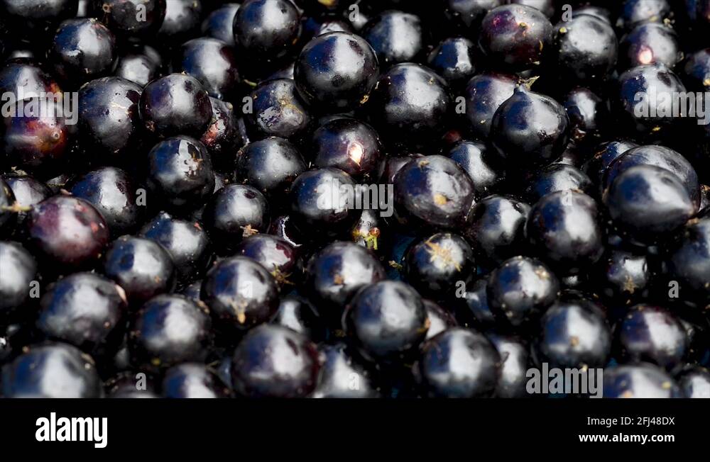 Vertical fruit Stock Videos & Footage - HD and 4K Video Clips - Alamy