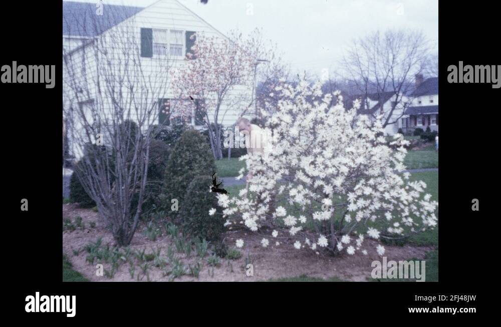 Flag plot Stock Videos & Footage - HD and 4K Video Clips - Alamy