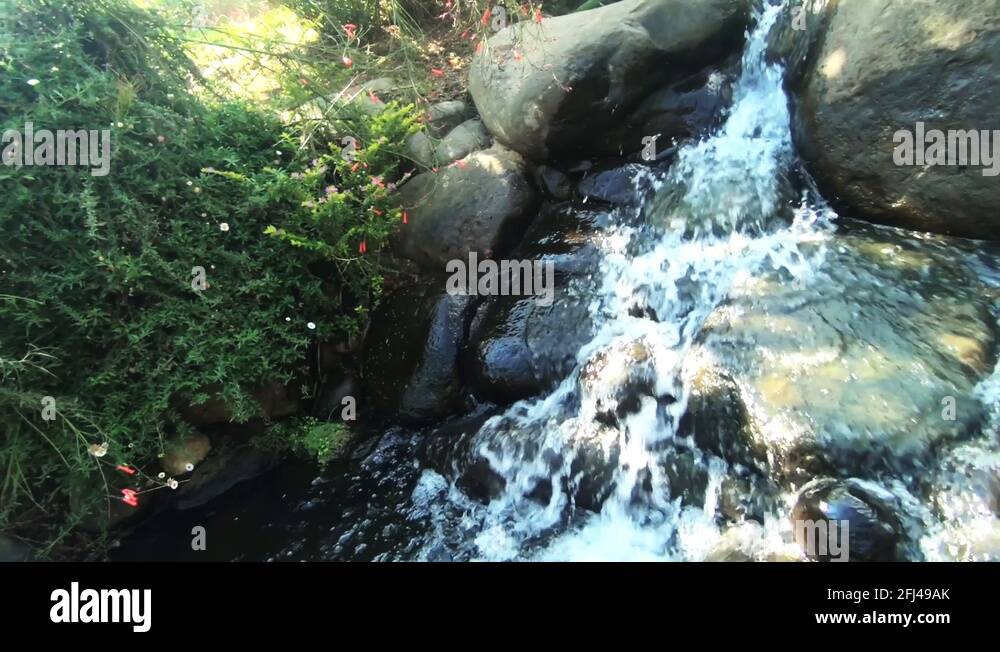 Water flowing between rocks Stock Videos & Footage - HD and 4K Video ...