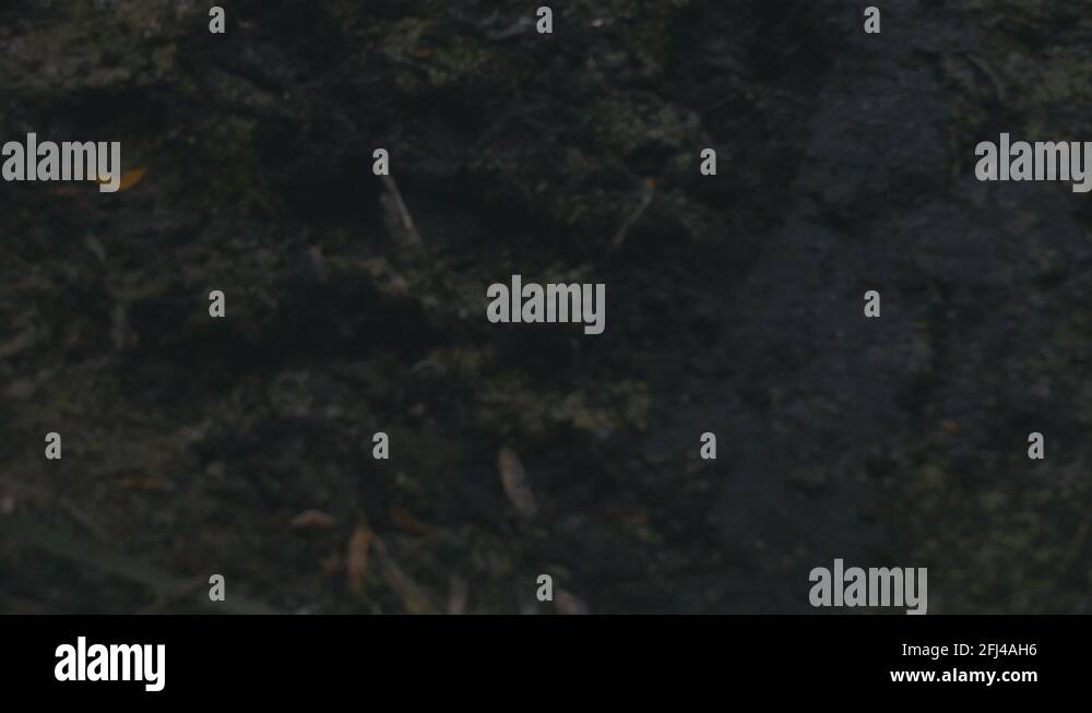 Paranoma Stock Videos & Footage - HD and 4K Video Clips - Alamy
