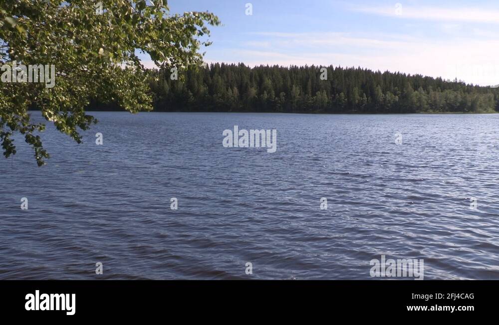 Romantic idyll Stock Videos & Footage - HD and 4K Video Clips - Alamy