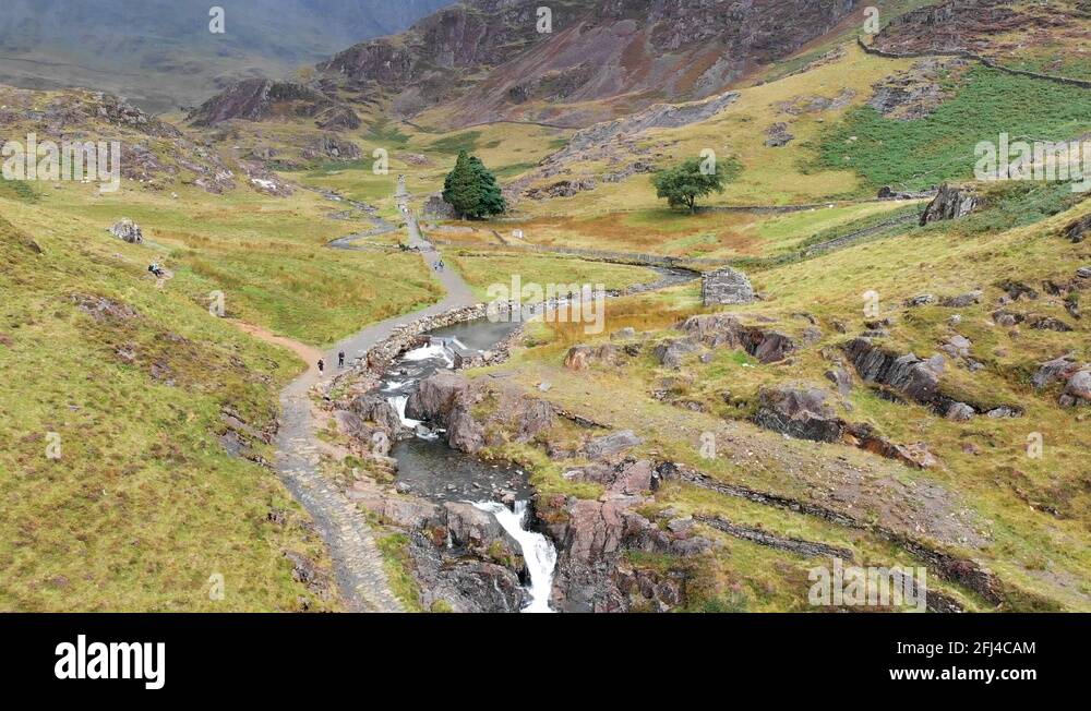 Snowdon forest Stock Videos & Footage - HD and 4K Video Clips - Alamy