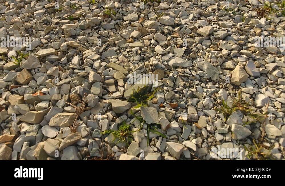 Grit stone texture Stock Videos & Footage - HD and 4K Video Clips - Alamy