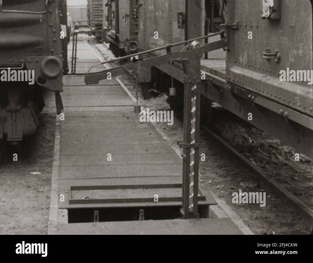 Process of packaging the peas into container - 1935 Stock Video Footage ...