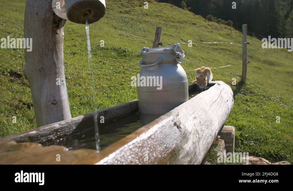 Water standpipe Stock Videos & Footage - HD and 4K Video Clips - Alamy