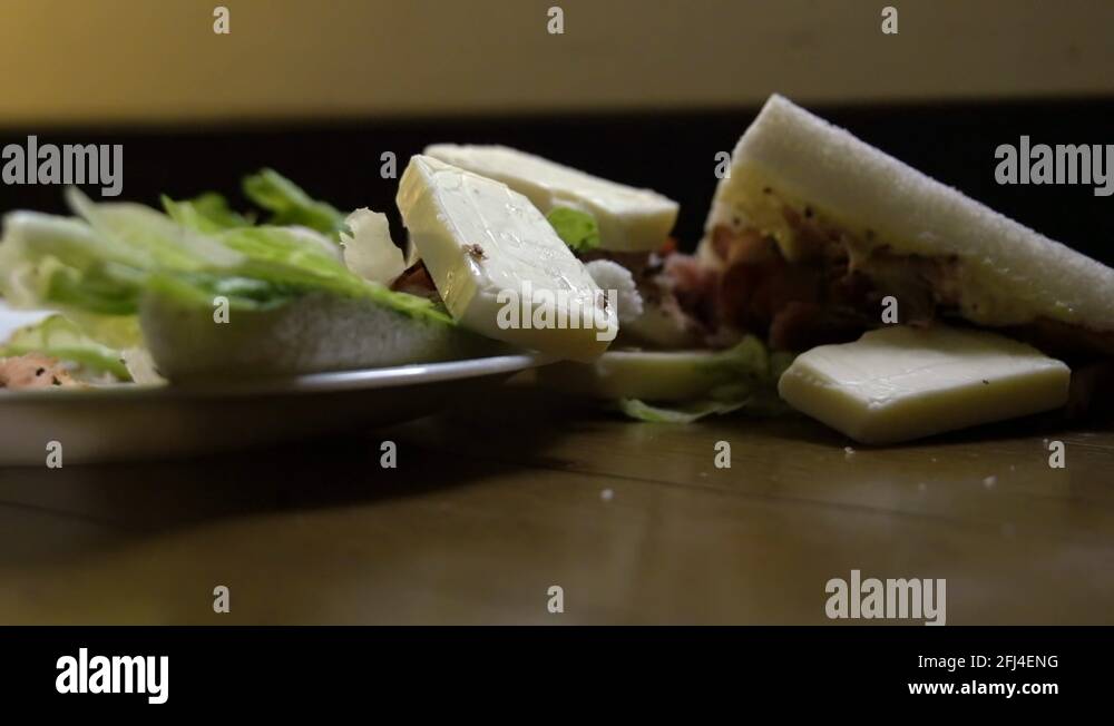 Food on the floor Stock Videos & Footage - HD and 4K Video Clips - Alamy