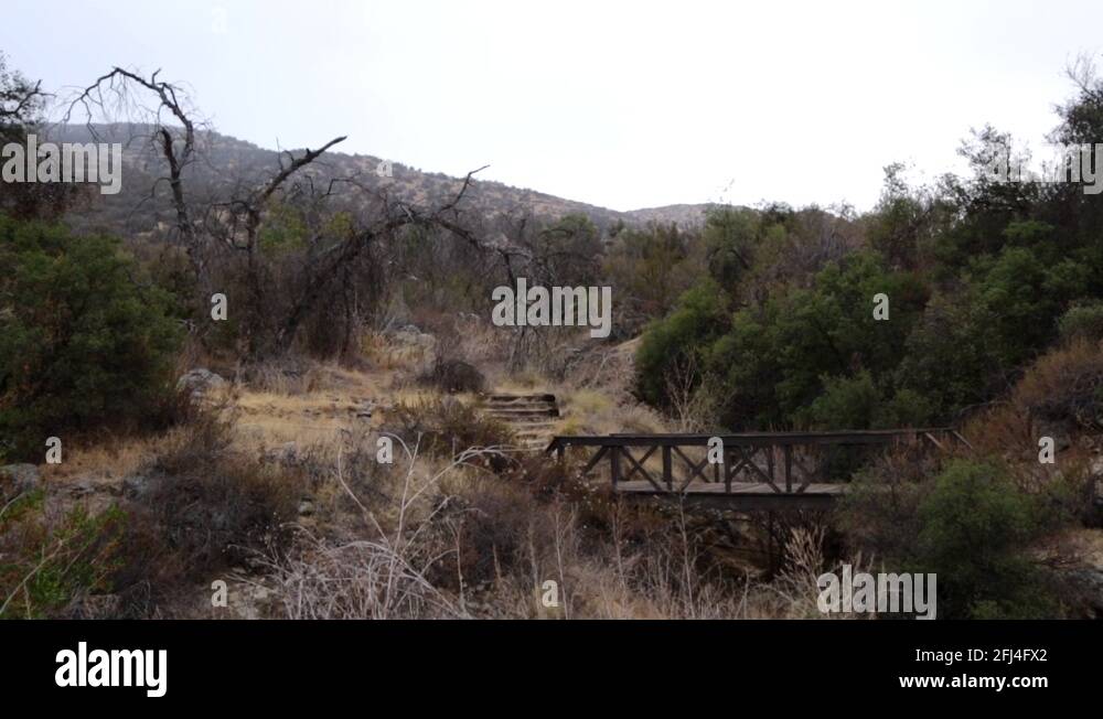 Creepy bridge Stock Videos & Footage - HD and 4K Video Clips - Alamy