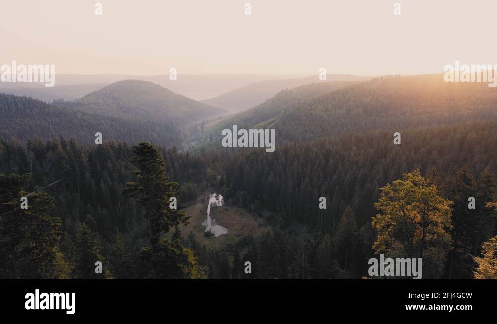 Melancholic nature Stock Videos & Footage - HD and 4K Video Clips - Alamy