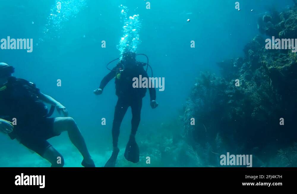 Indigenous sign language Stock Videos & Footage - HD and 4K Video Clips ...