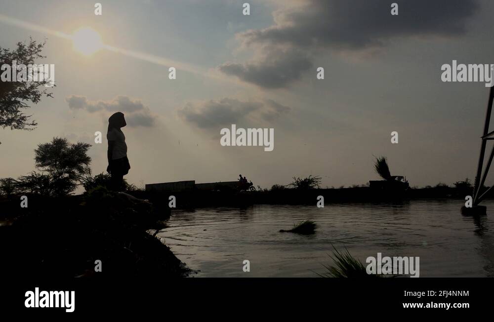 Paddy field of karnataka Stock Videos & Footage - HD and 4K Video Clips ...