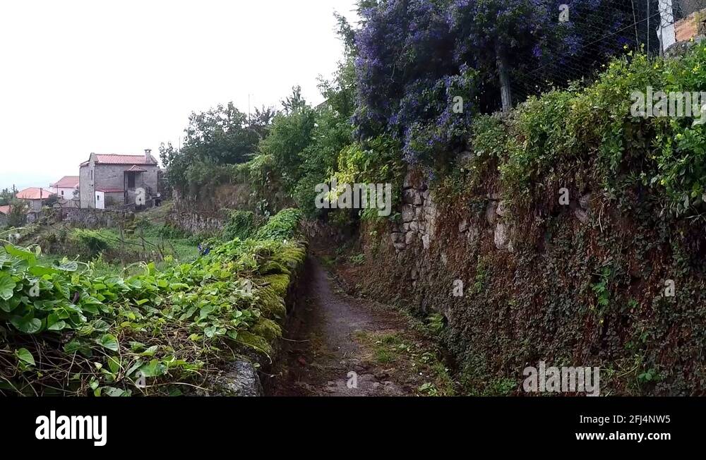 Old brick house with path Stock Videos & Footage - HD and 4K Video ...