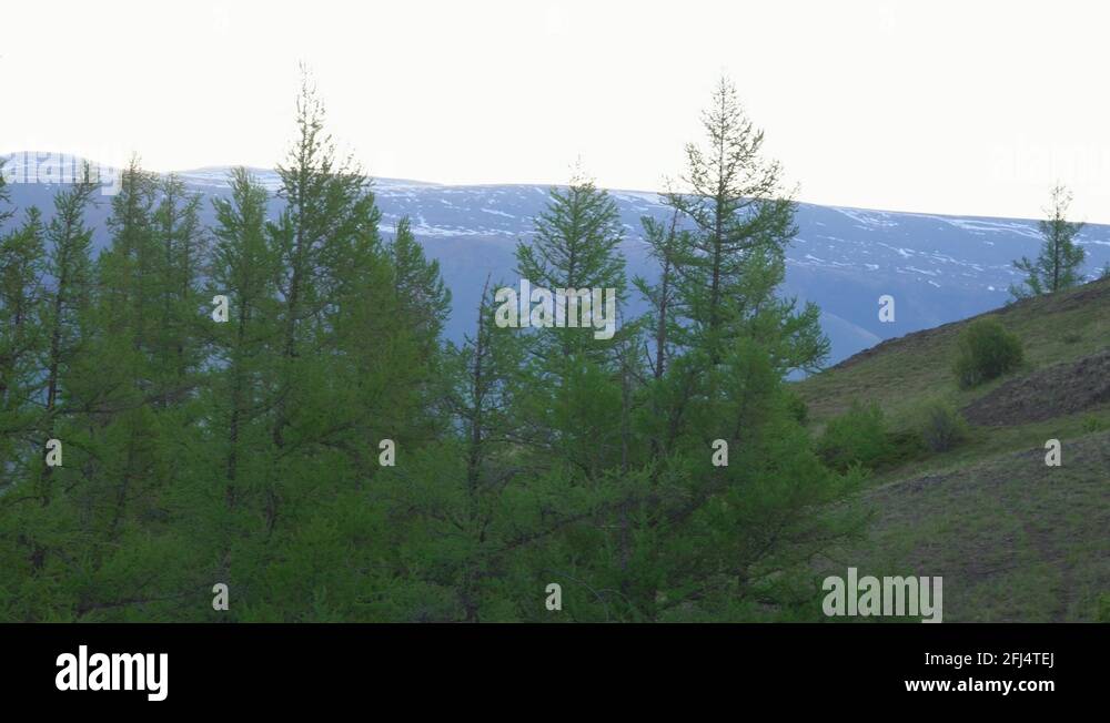 Beautiful hillside and valley landscape Stock Videos & Footage - HD and ...