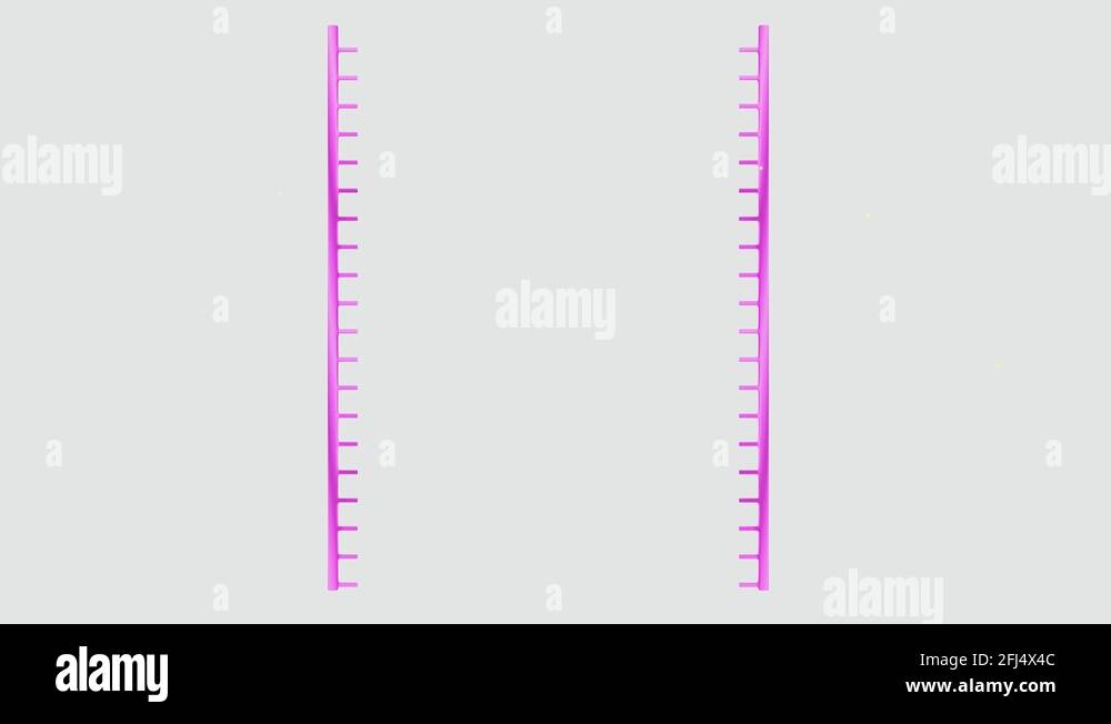 Primer binding on DNA during PCR cycle polymerase chain reaction real ...