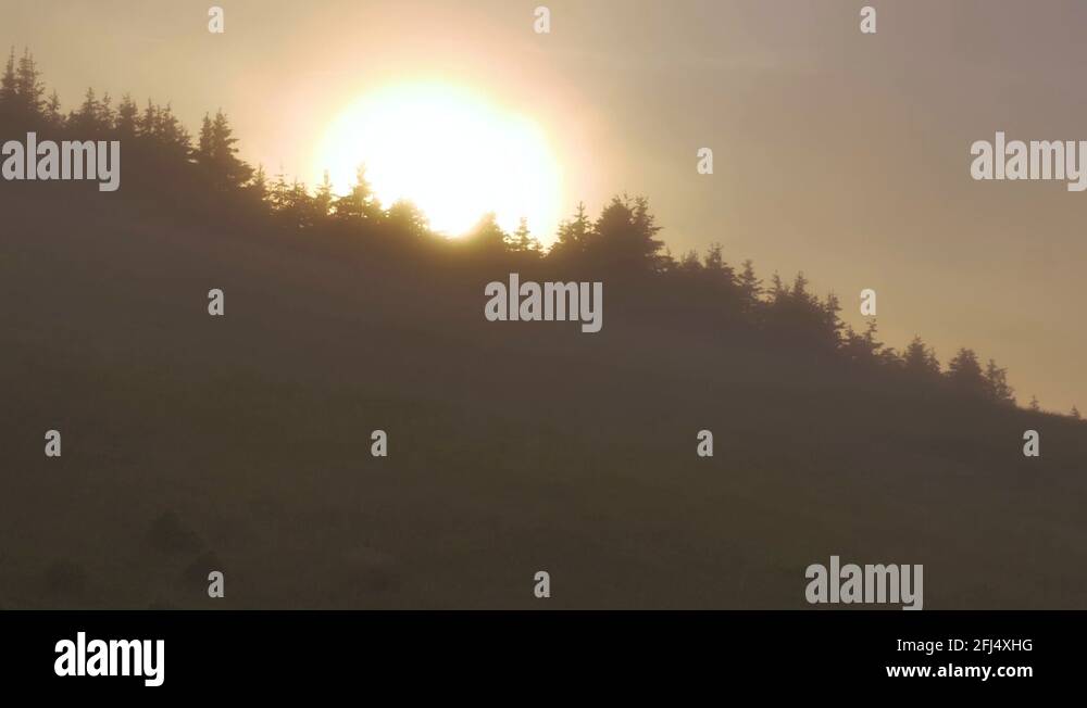 Sun rising from behind a sloping hillside covered with pine trees and ...