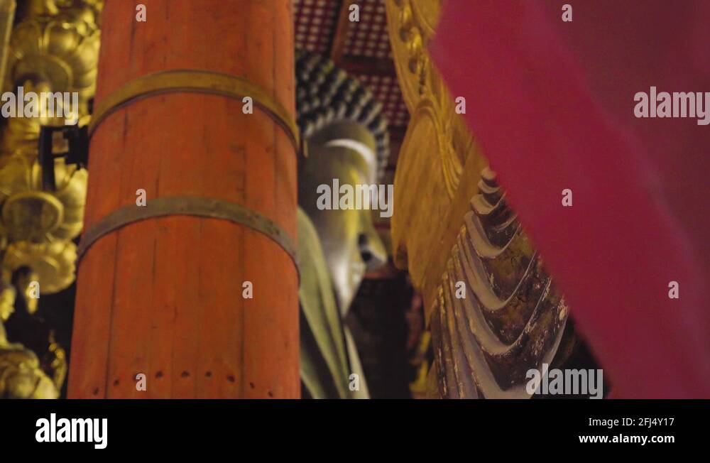 Inside a head in profile Stock Videos & Footage - HD and 4K Video Clips ...