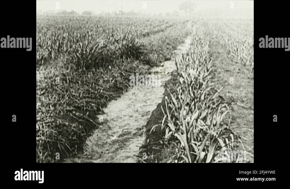 Farm harvest 1930s Stock Videos & Footage - HD and 4K Video Clips - Alamy