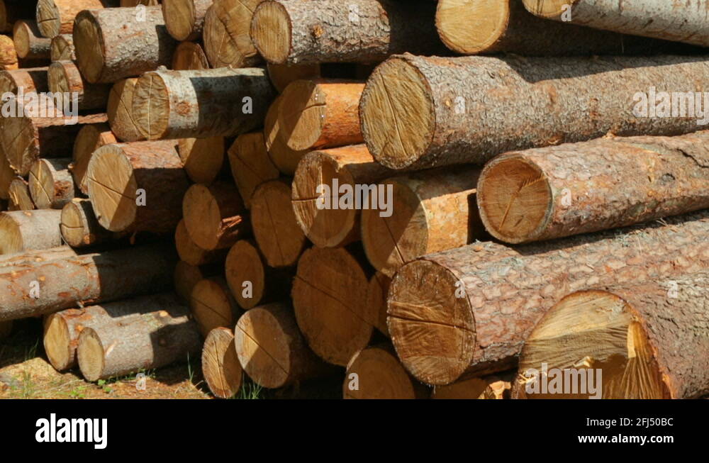 Baulk of timber Stock Videos & Footage - HD and 4K Video Clips - Alamy