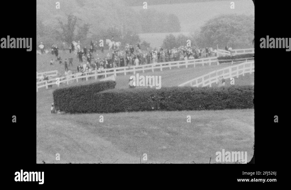 Over hedge Stock Videos & Footage - HD and 4K Video Clips - Alamy