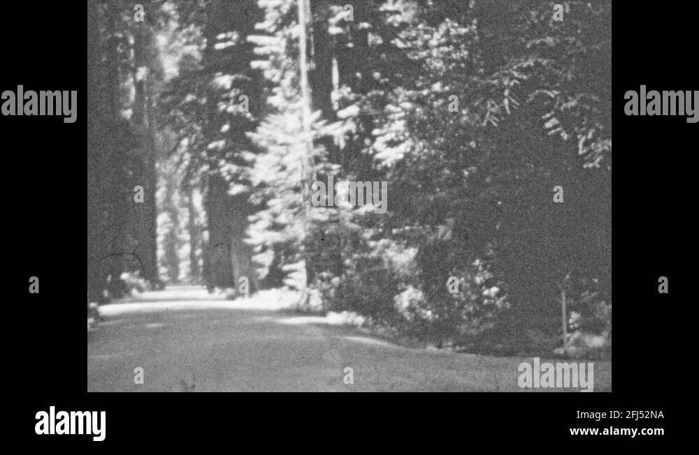 Giant Forest Road Stock Videos Footage HD And 4K Video Clips Alamy Giant Forest Road Stock Videos Footage HD And 4K Video Clips Alamy