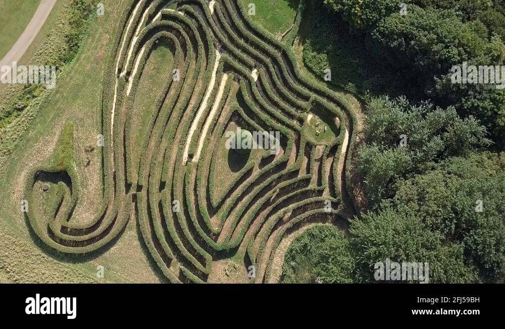 Swan in flight drawing Stock Videos & Footage - HD and 4K Video Clips ...