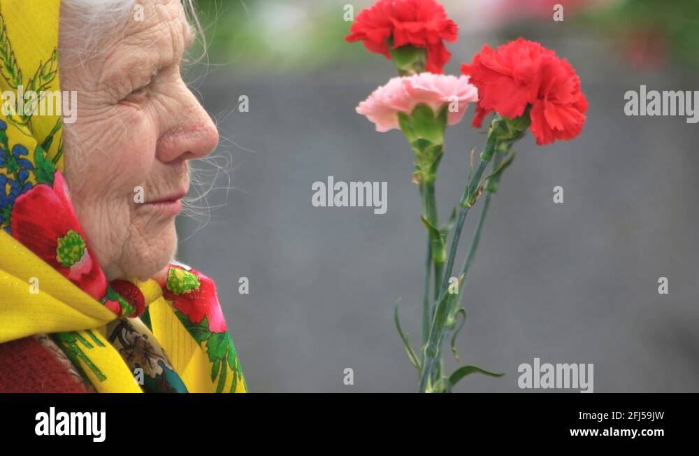 Old world flowers Stock Videos & Footage - HD and 4K Video Clips - Alamy