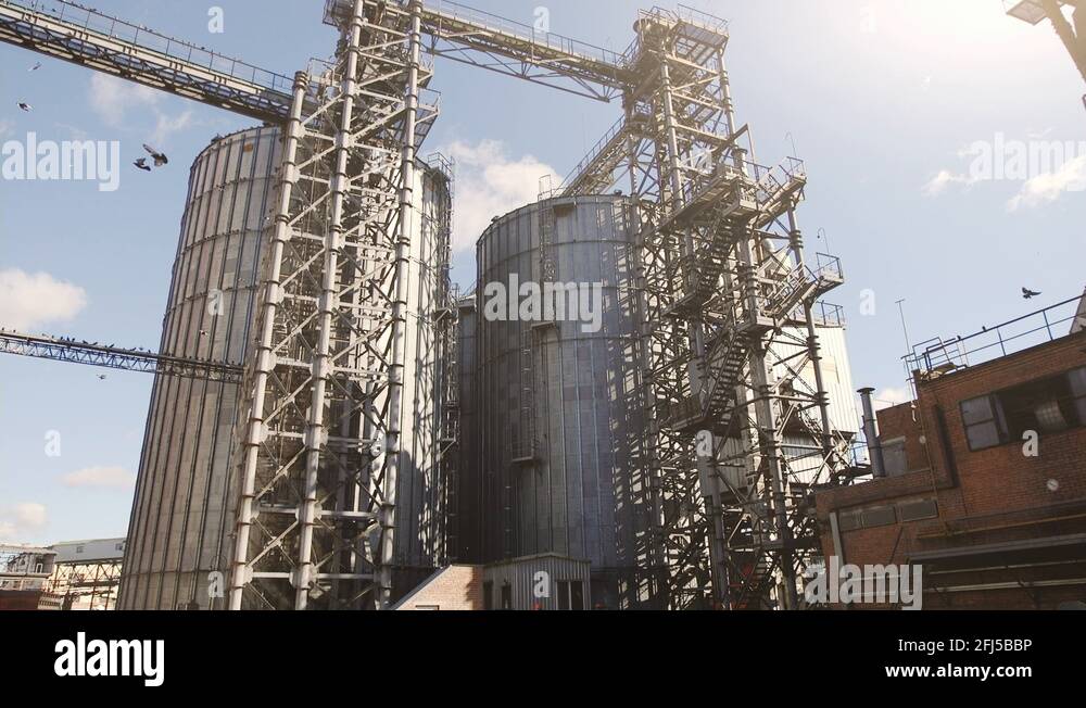 Large grain elevator silo storage and birds a flying Stock Video ...