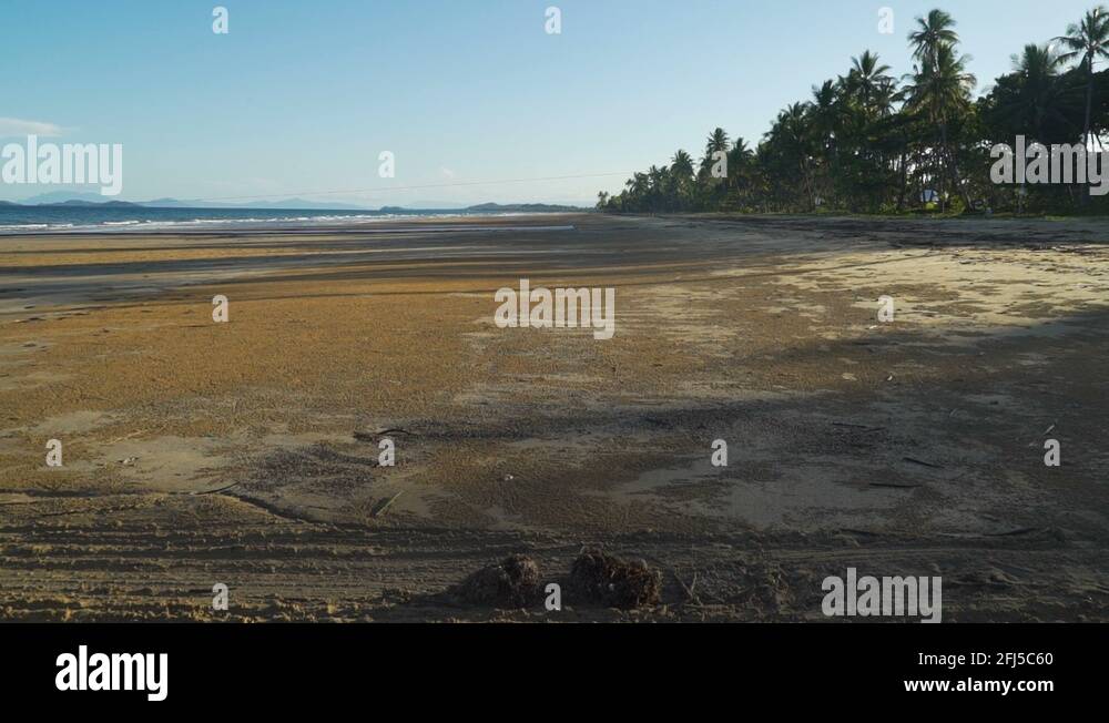 Shark net beach Stock Videos & Footage - HD and 4K Video Clips - Alamy