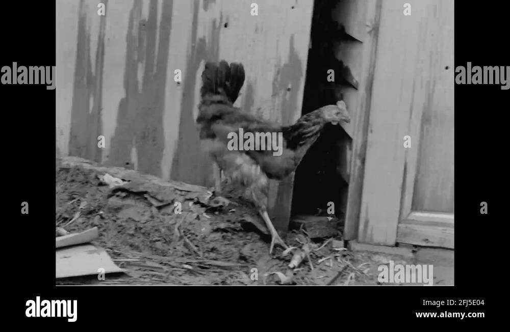 Japan farm house Stock Videos & Footage - HD and 4K Video Clips - Alamy